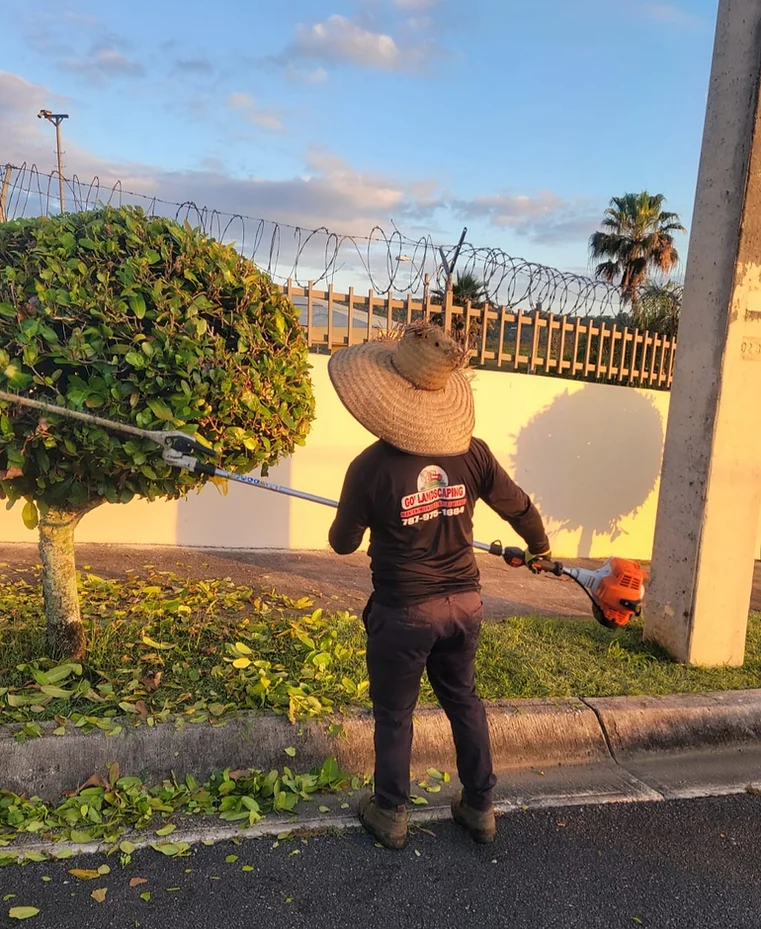 Go Landscaping PR | Expertos en áreas verdes y poda